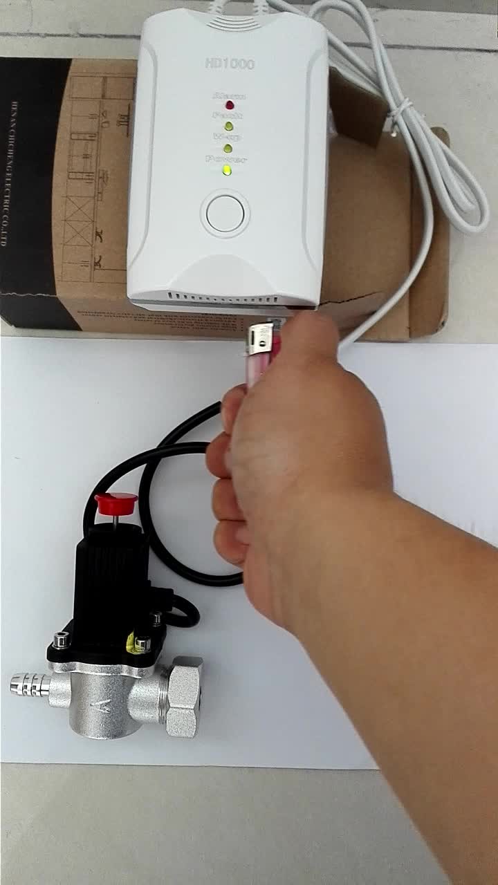 Domestic lpg gas detector with electric interlock and self test ...